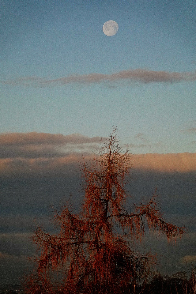 Icy Morning View | BobsBlips | Blipfoto