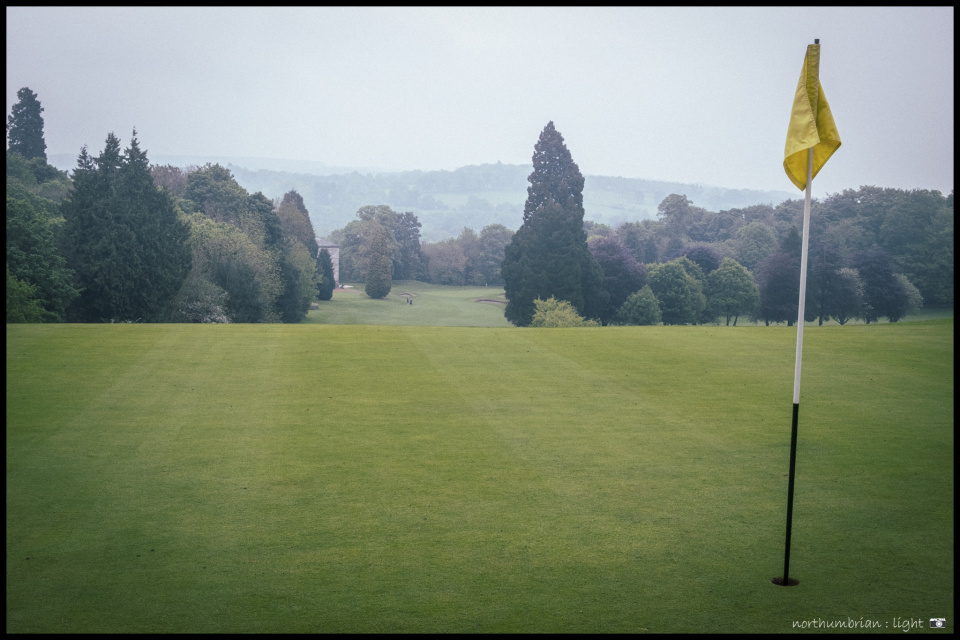 Not playing ... | RobinDown | Blipfoto