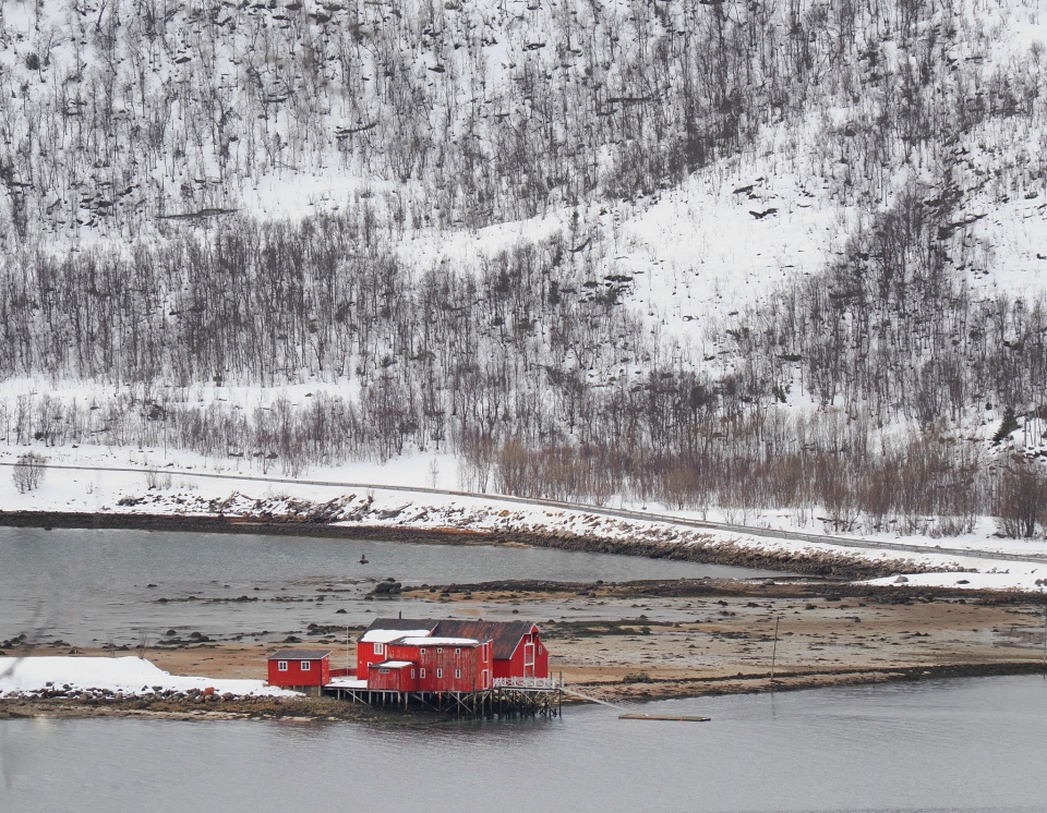 Lunch view | Technophobe | Blipfoto