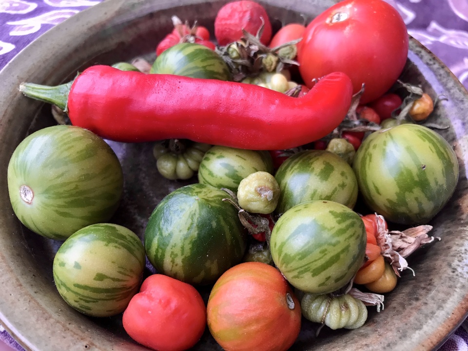 Tiresome Tuesday | Pisky29 | Blipfoto