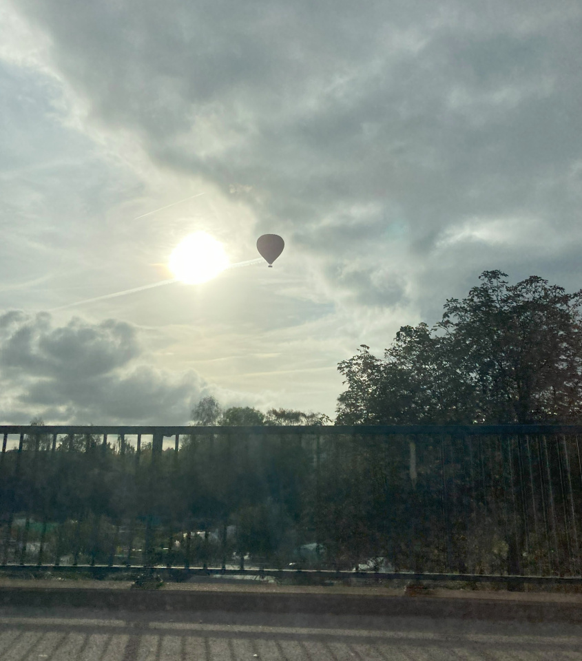 Afternoon Flight | Kernow | Blipfoto