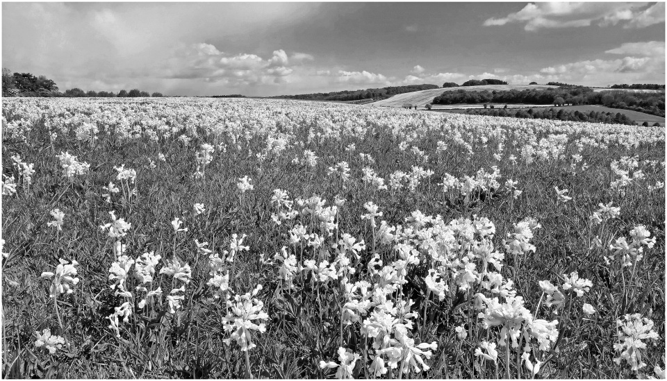 May landscape | Miranda1008 | Blipfoto