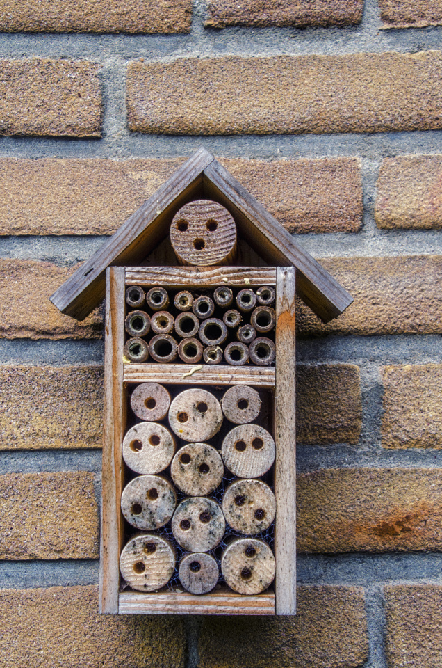 Bughotel | Ingeborg | Blipfoto