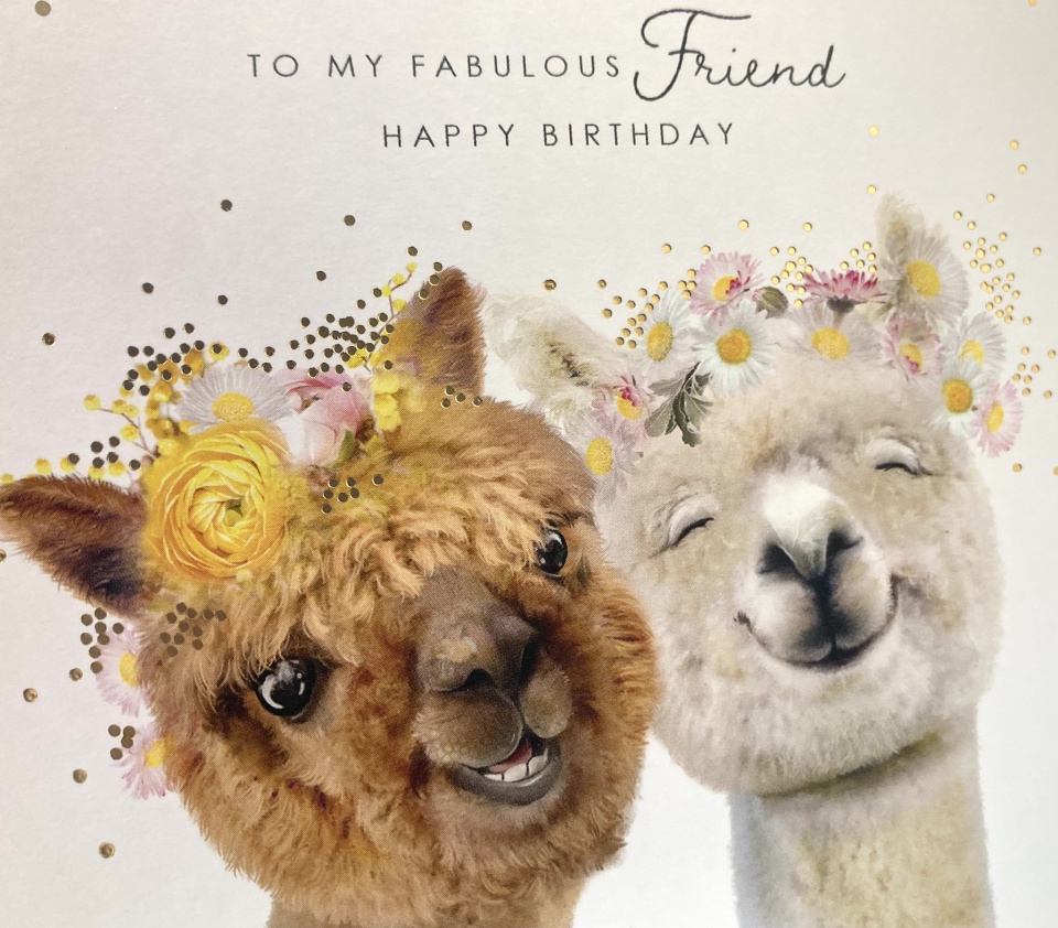 Delightful | Alison666 | Blipfoto