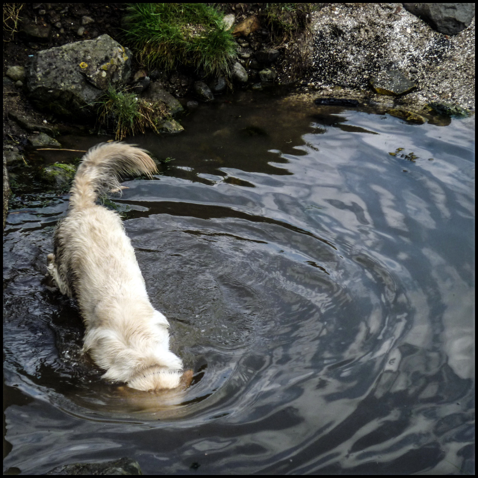 Summer. Day 3 | ForthPorts | Blipfoto