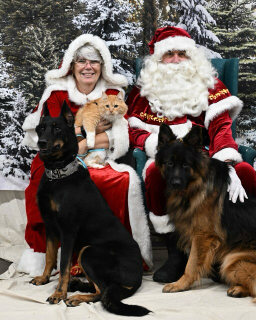 Santa Paws & Mrs Claws | deborahlarson9 | Blipfoto