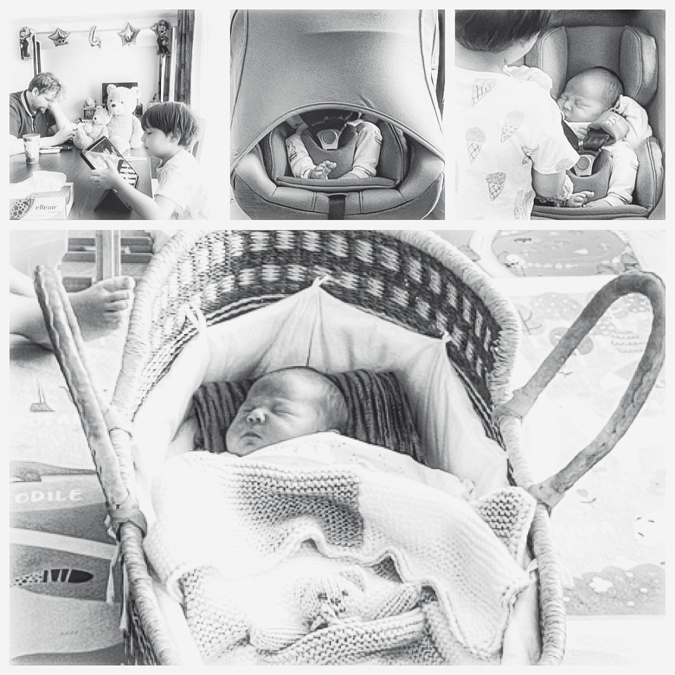 Home coming | Ingeborg | Blipfoto