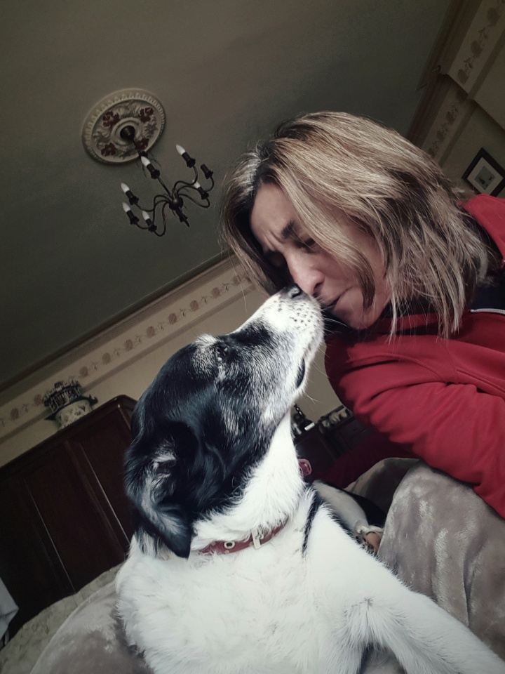 reunited | spishy | Blipfoto