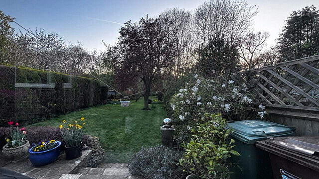 Garden with washing line/clothes pegs | Bella888 | Blipfoto