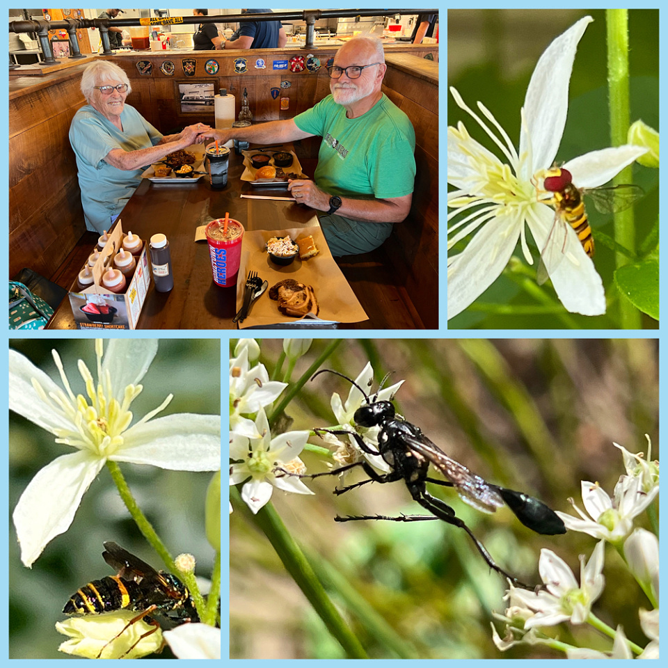 Birthdays and Bees | Grammy | Blipfoto