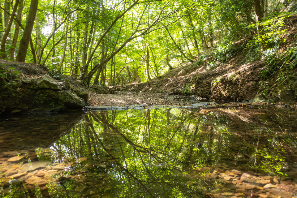 Looking Very Trym | Kernow | Blipfoto