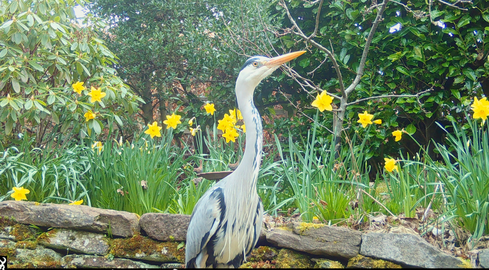 The waiting game | Libra | Blipfoto