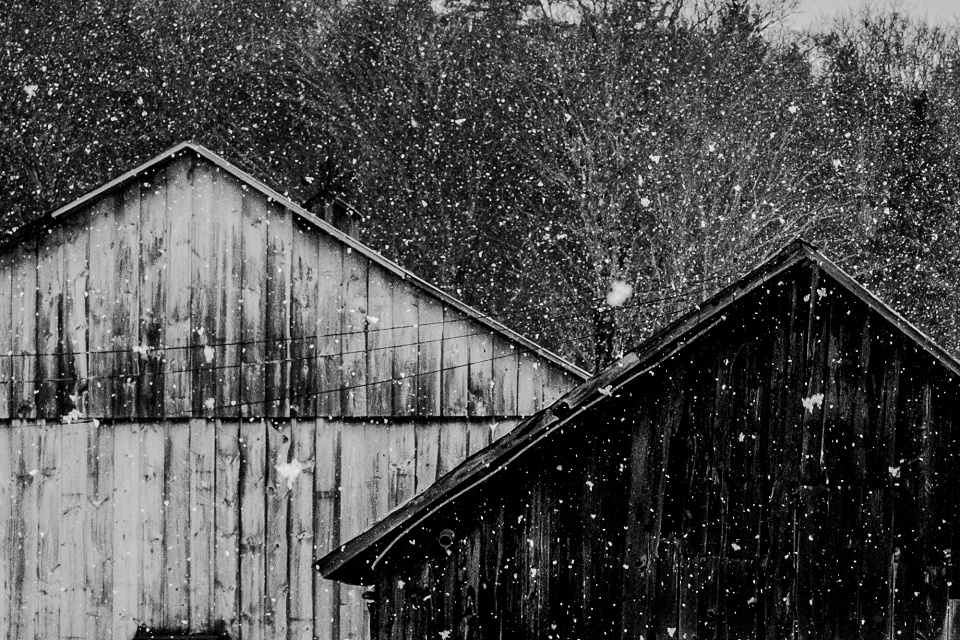 Big flakes | Kd | Blipfoto