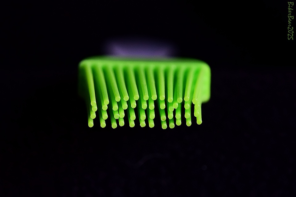 Tiny ............. | BikerBear | Blipfoto