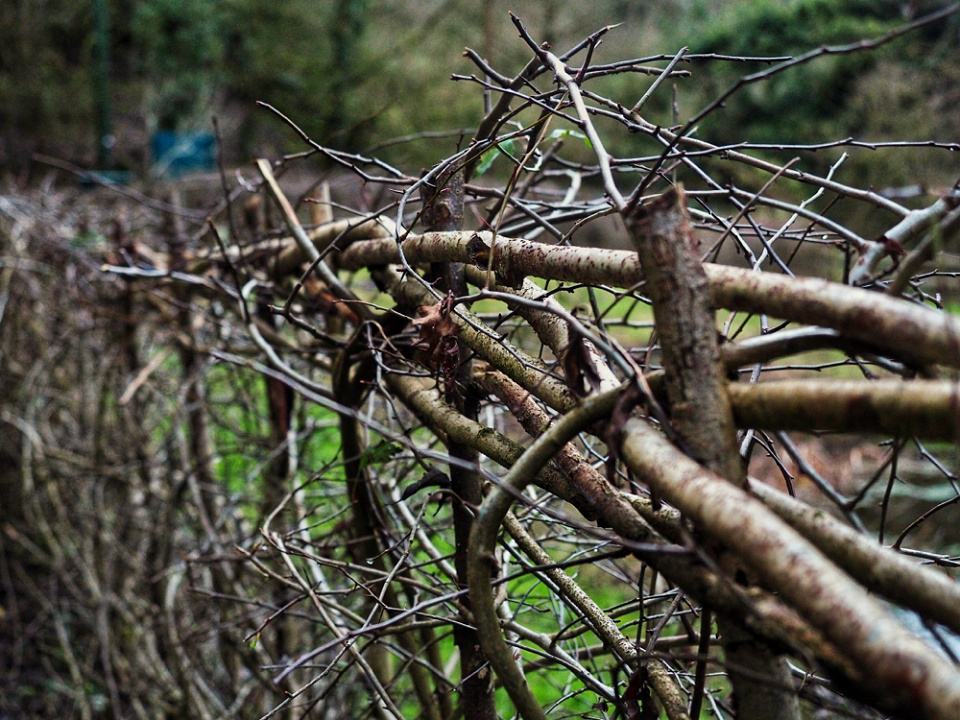 Twisted. | Cherryflapjack | Blipfoto