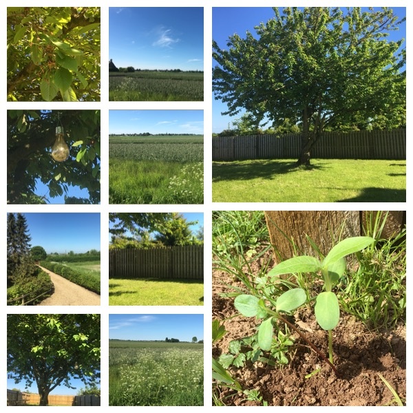 Beautiful | Alison666 | Blipfoto