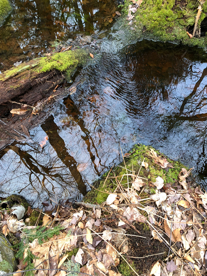 Reflections | Doingok | Blipfoto