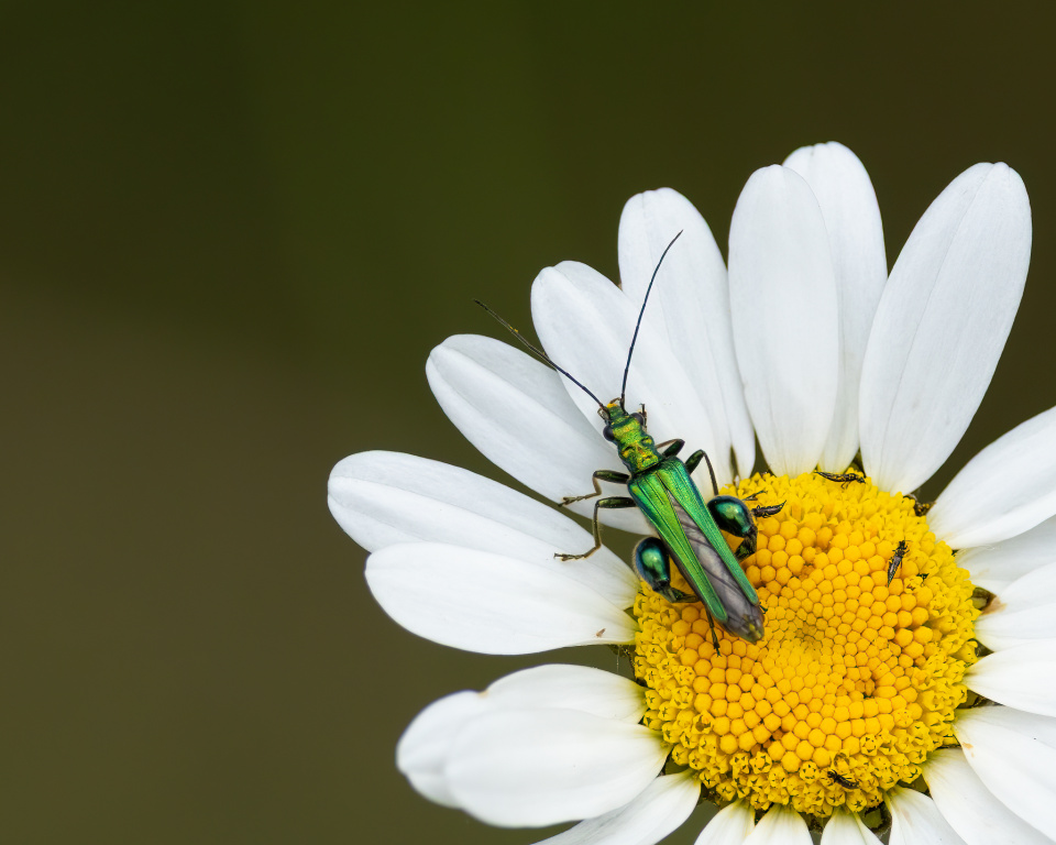 Fat Thighs | Hillyblips | Blipfoto