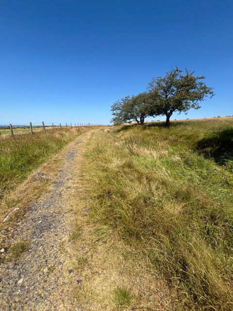 Up on the Moor Again | Hyperion | Blipfoto