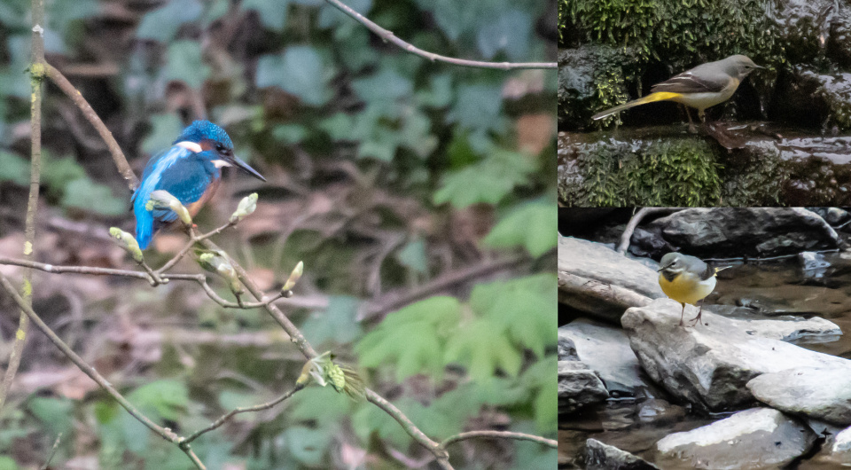 Fish & Dips | Kernow | Blipfoto