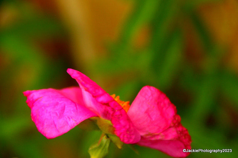 Abstract | ThingsBeautiful | Blipfoto