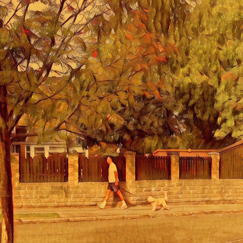 Walking the Dog - 125 | mambo | Blipfoto