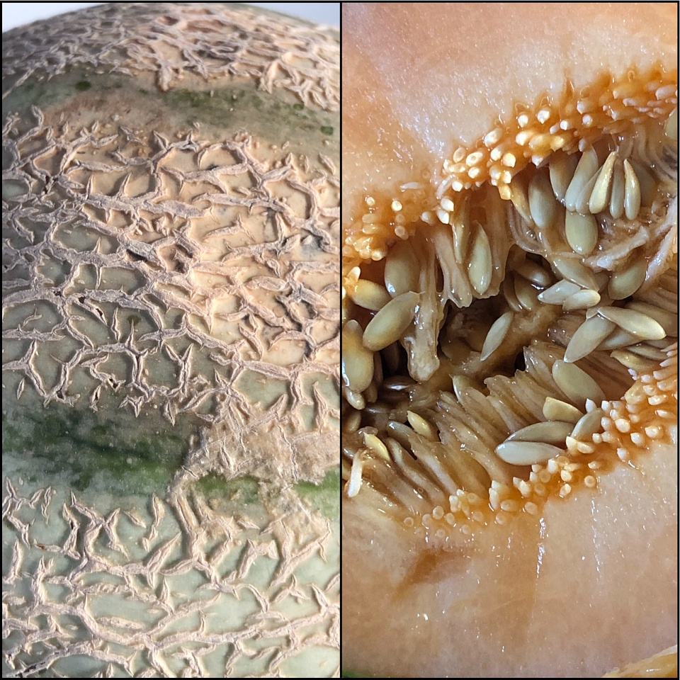 We finally..... | Arteegeedee | Blipfoto