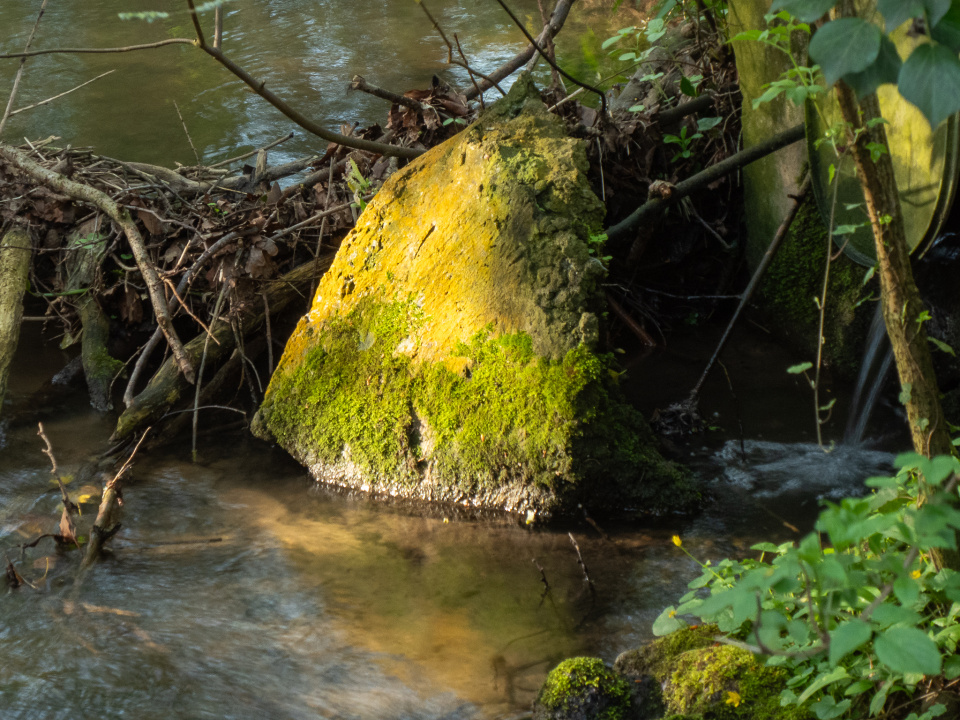 Sunny Boulder | madwill | Blipfoto