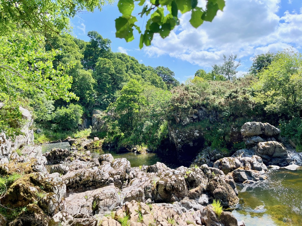Swimming in the River Whiteadder | hazelh | Blipfoto