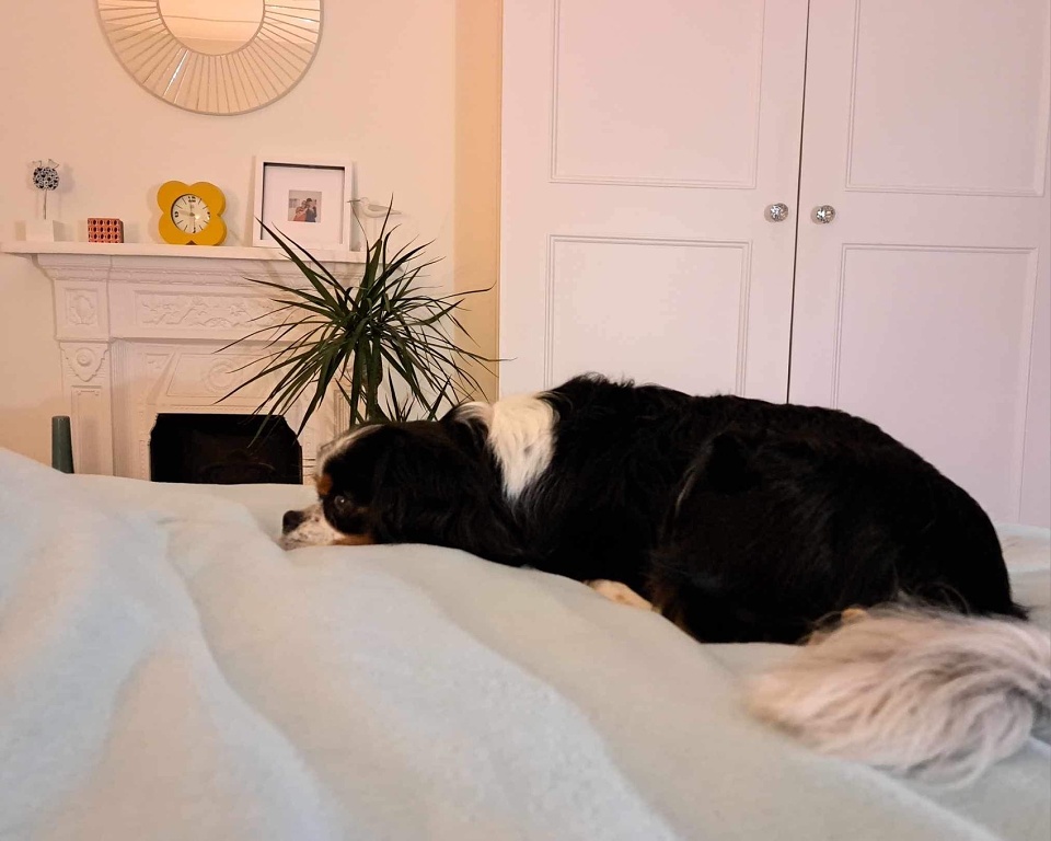 Early night | Emsie | Blipfoto