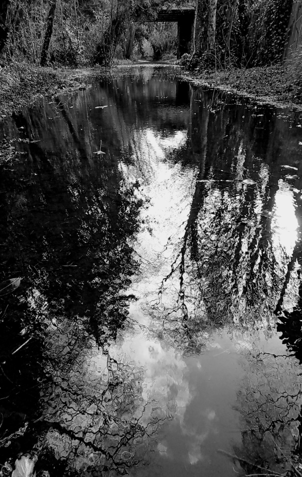 Portraiture | middleman | Blipfoto