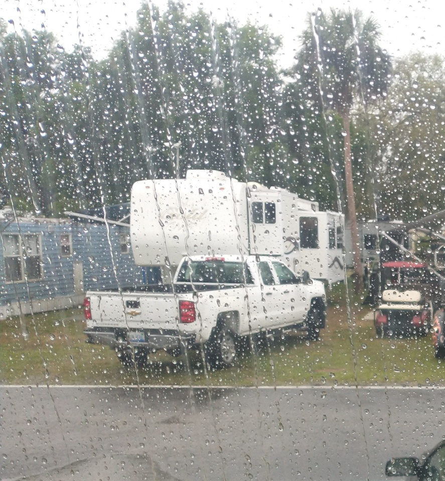 Rainy Day | Joyful | Blipfoto