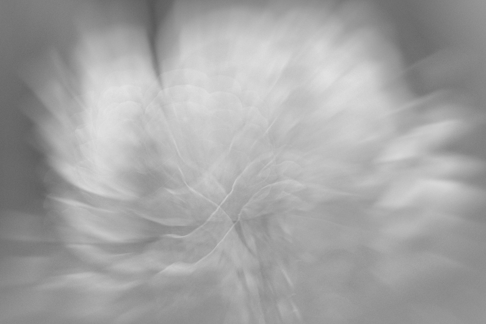 Repetition | rainie | Blipfoto