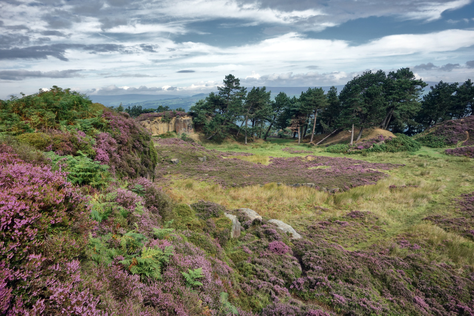 Hangingstone Addiction | earthdreamer | Blipfoto