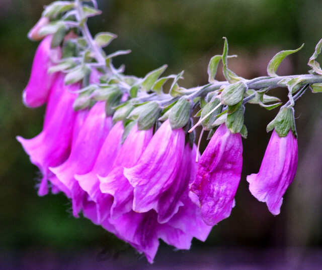 Day 183/366 Happy half year day | jjenncee2024 | Blipfoto