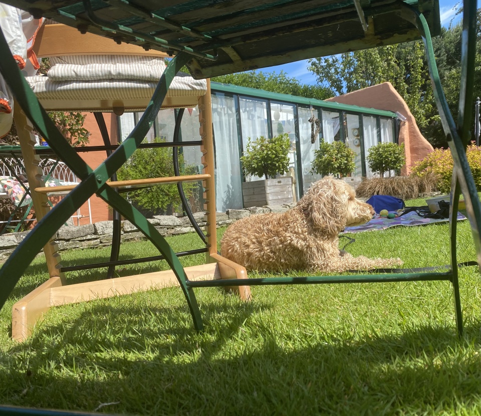 Naughty Nora the Explorer. | jimbo2750 | Blipfoto