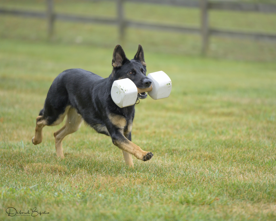 Pick One | dbifulco | Blipfoto