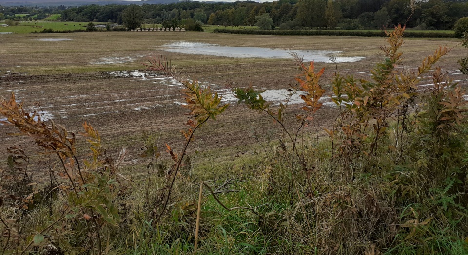 Squelchy Sunday | Freuchie | Blipfoto