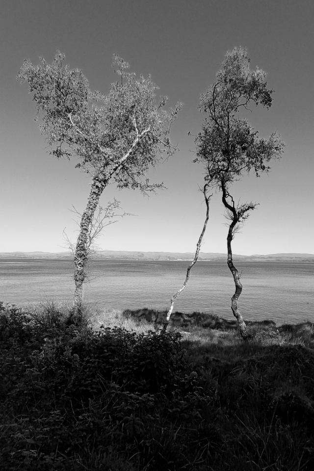 Triplicate | middleman | Blipfoto