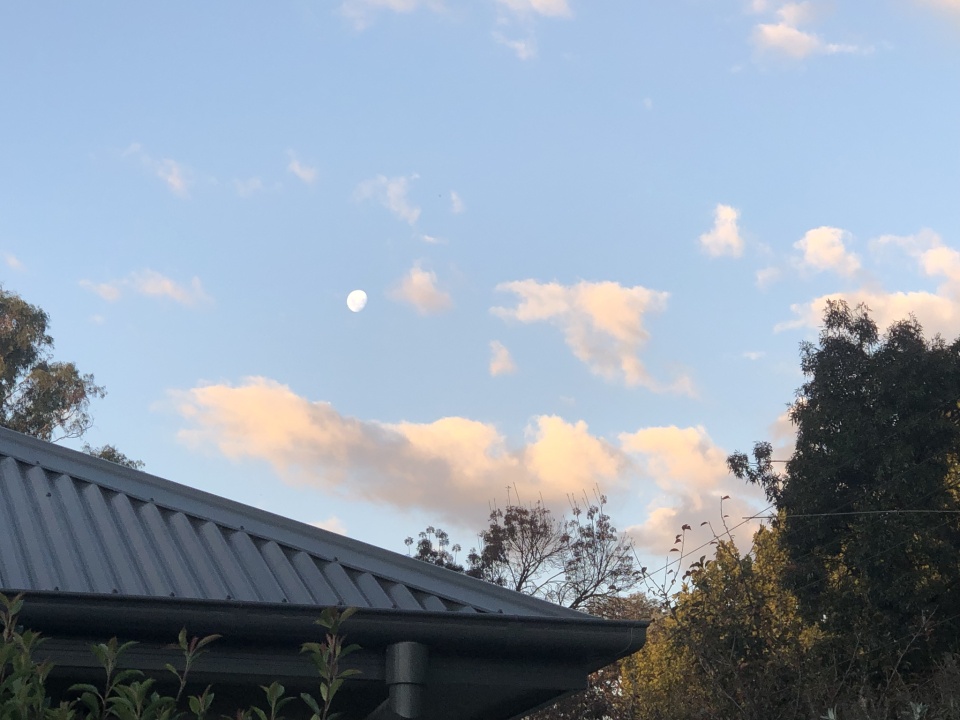 Evening | 59 | Blipfoto