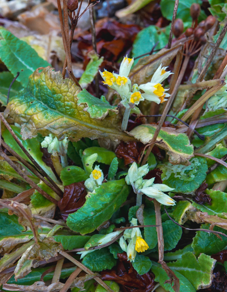 Not much of a picture. | john39 | Blipfoto