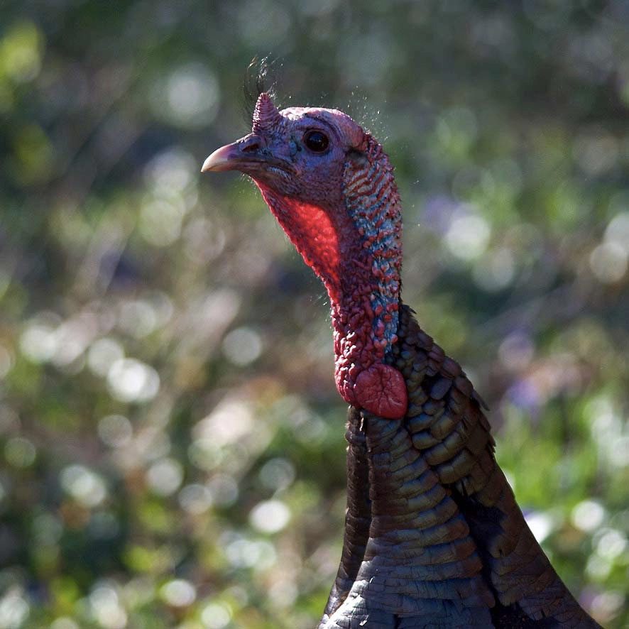 Alone and a bit woebegone | justbe | Blipfoto