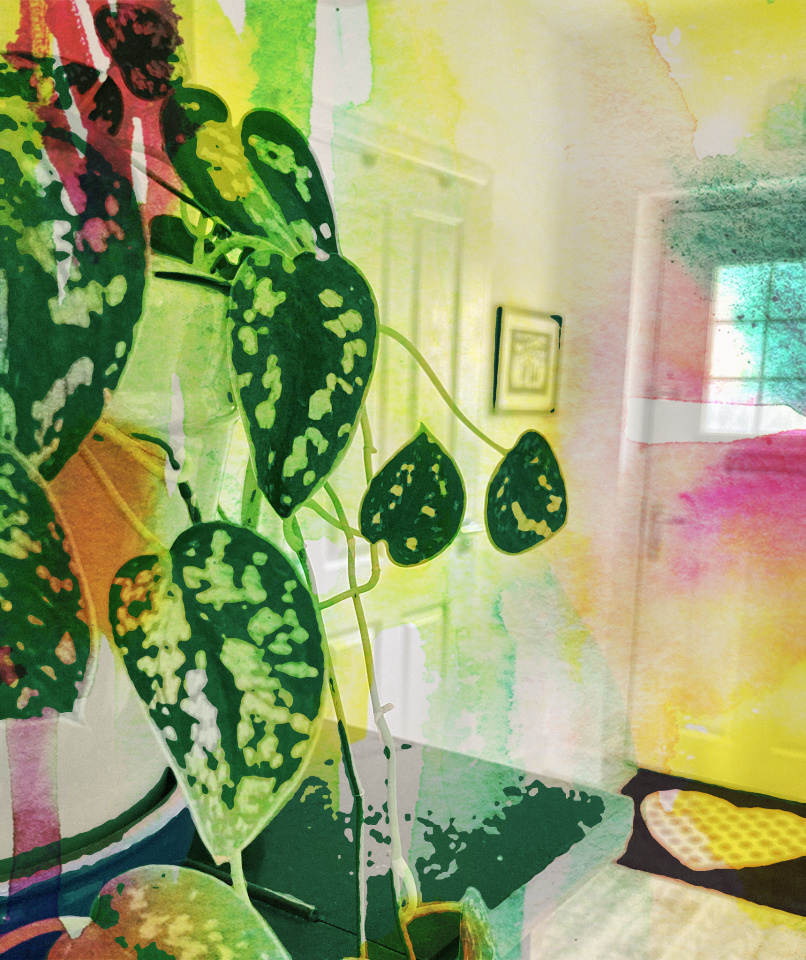 Hall | mambo | Blipfoto