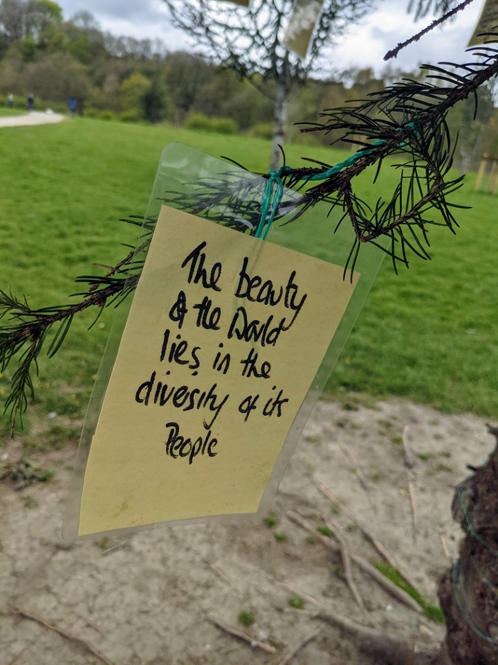 Tree of positivity | IrwellRiver | Blipfoto