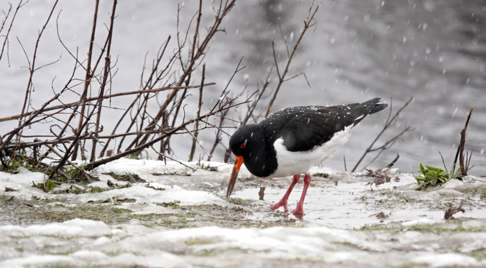 Fog, rain, snow, sun & scenery... | Nicpic | Blipfoto