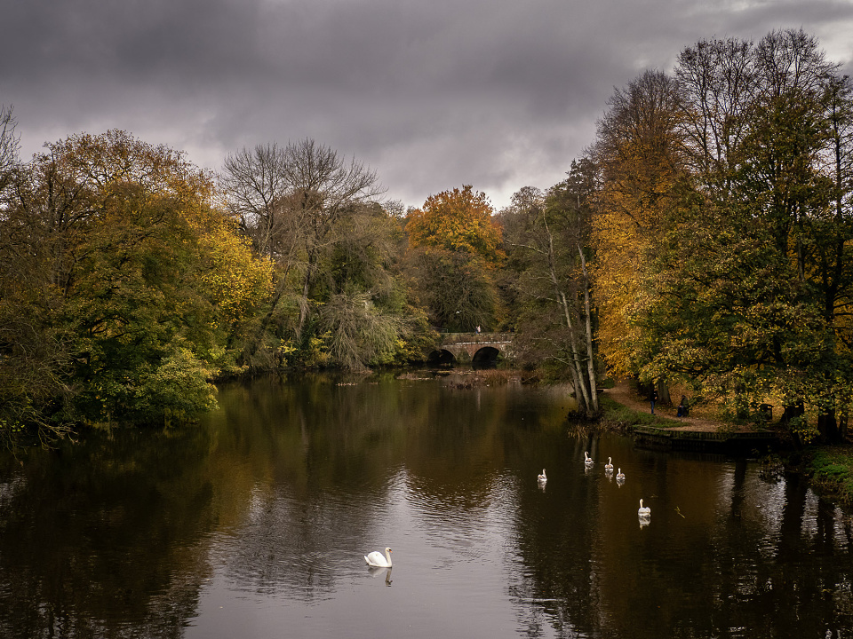 The Stour At Blandford | AH14 | Blipfoto