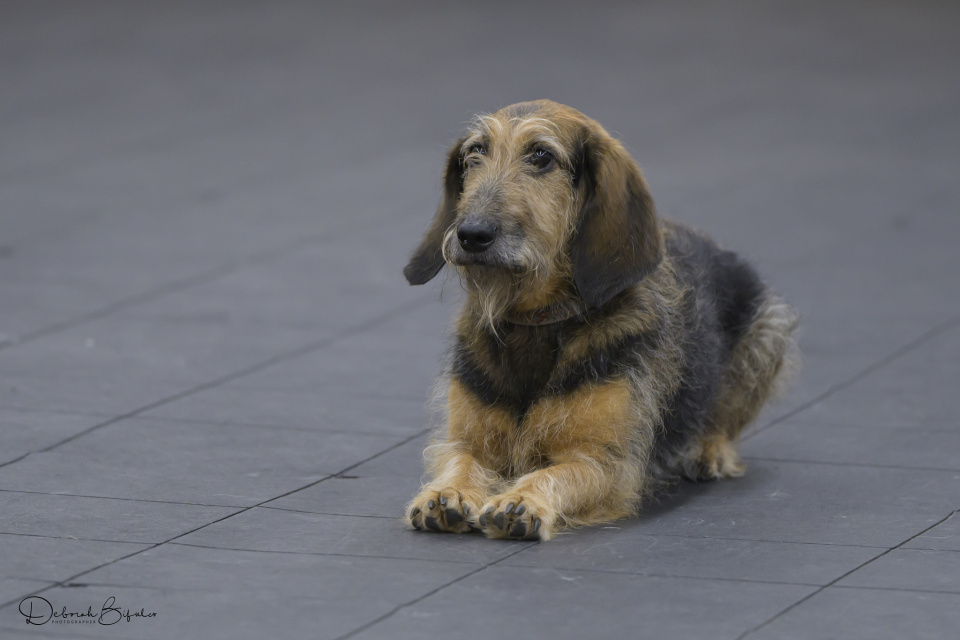 Eunice | dbifulco | Blipfoto