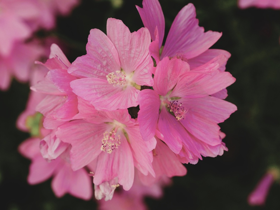 Surprise | pkln | Blipfoto