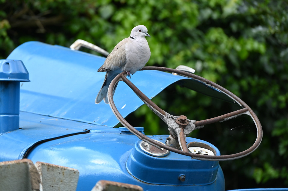 I'm ready for my 1st... | IAE | Blipfoto