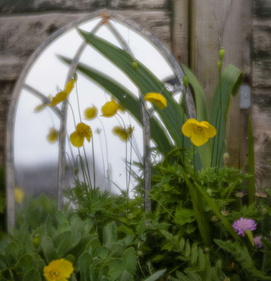 Garden | Green56 | Blipfoto